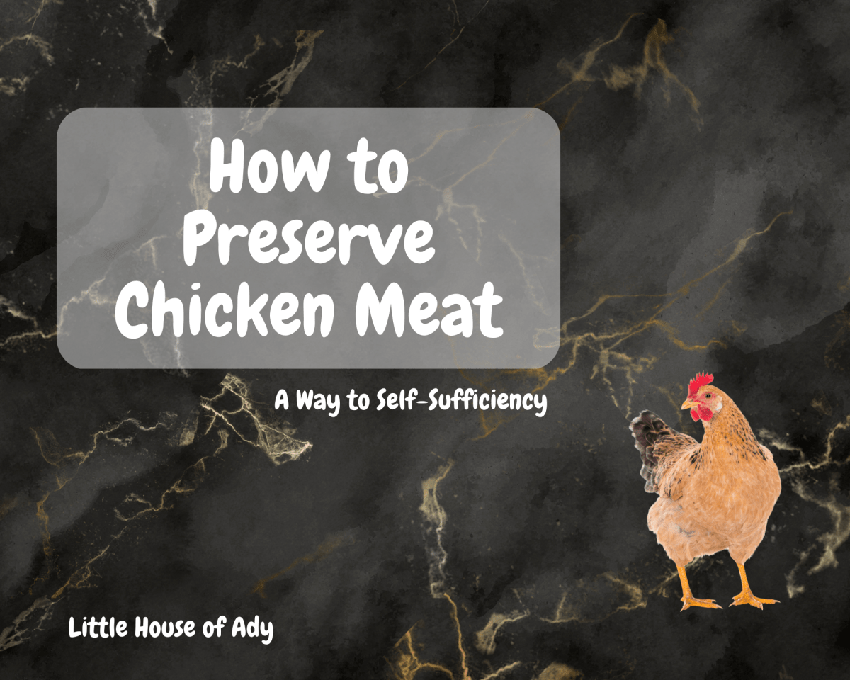 How to Preserve Chicken Meat – Little House of Ady